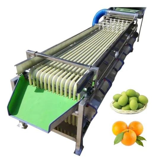 Potato Sorting Machine Tomato Sorting Machine Fruit Sorting Machine
