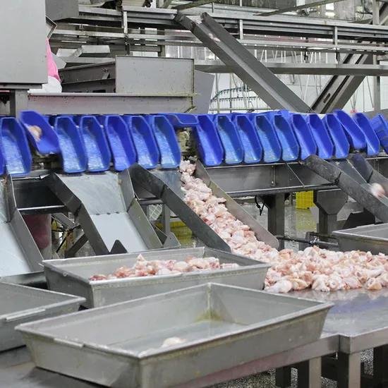 Automatic Chicken Slaughterhouse Poultry Evisceration Equipment Chicken ...
